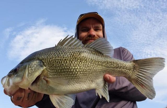 Tips for fishing the region | Gladstone Today