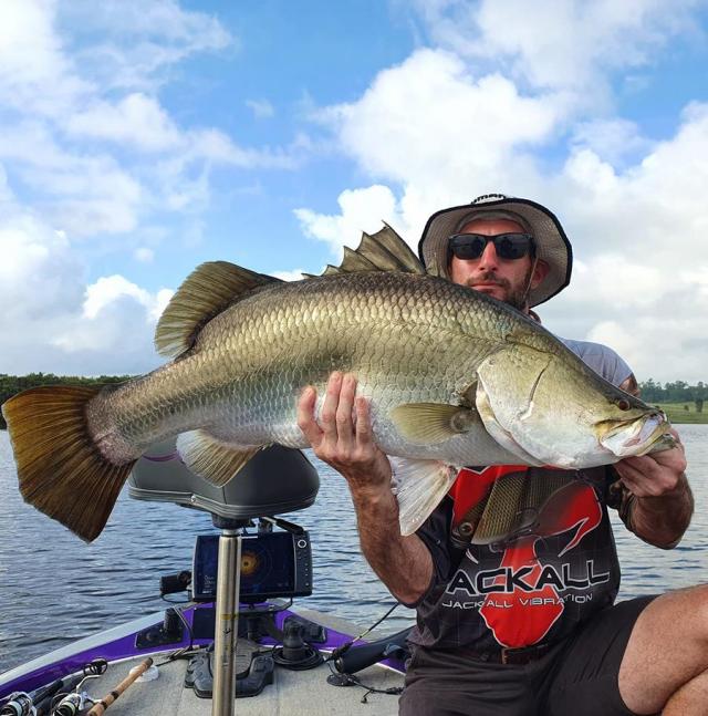 Fish galore in the regions | Gladstone Today