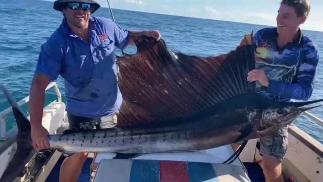 Sail fish snapped up | Gladstone Today