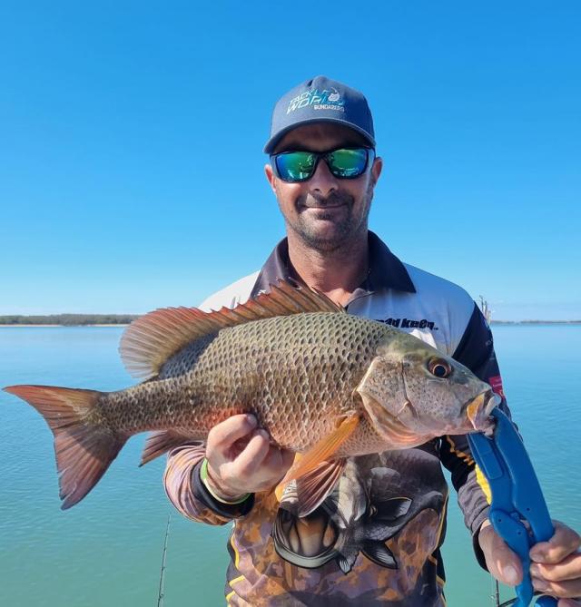 Cracking good catches | Gladstone Today