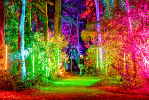 Luminous lights up at gardens | Gladstone Today
