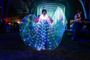 Luminous lights up Gladstone again | Gladstone Today