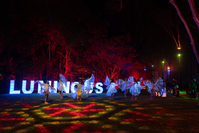 Luminous lights up Gladstone again | Gladstone Today
